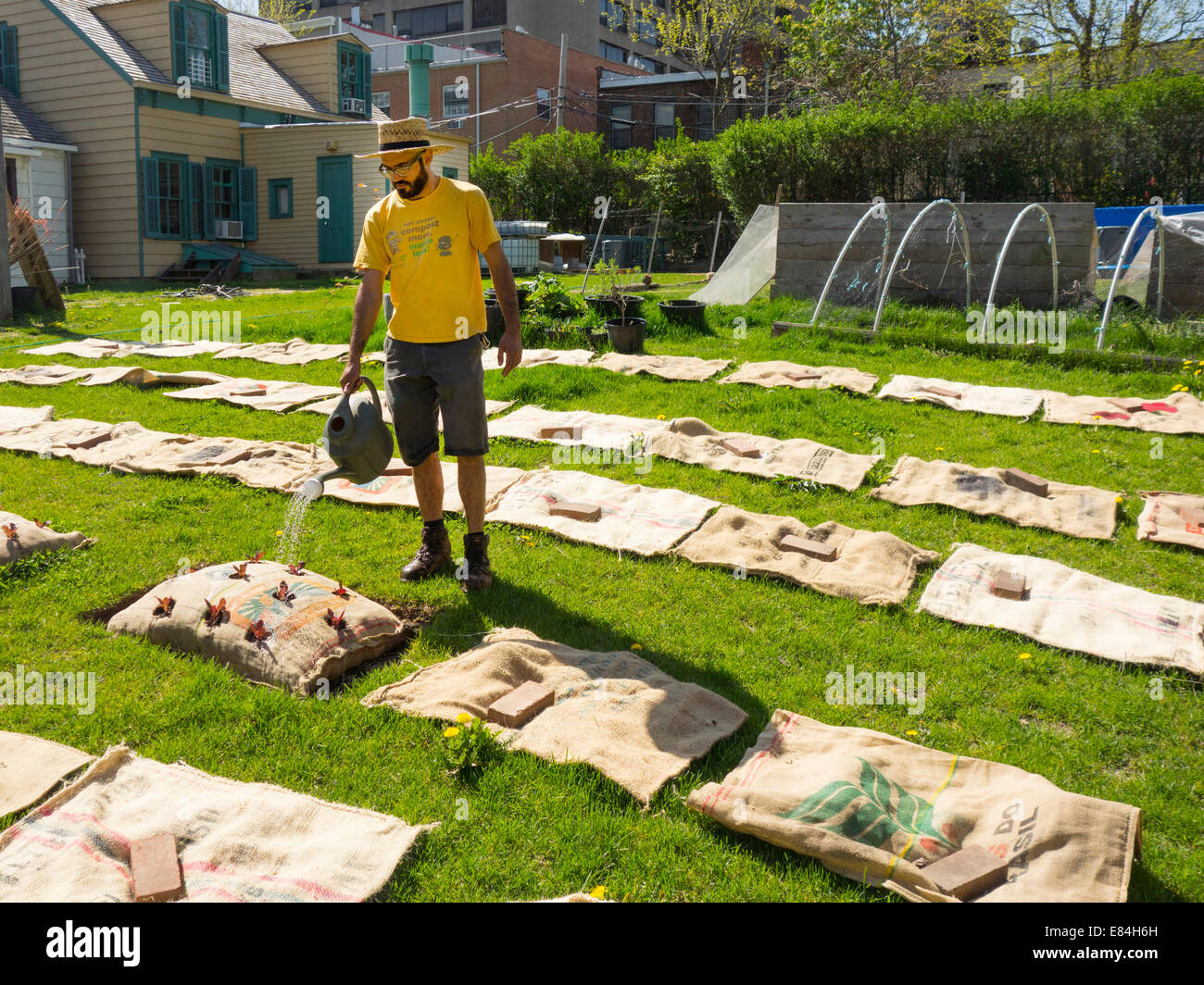 Weeksville hi-res stock photography and images - Alamy