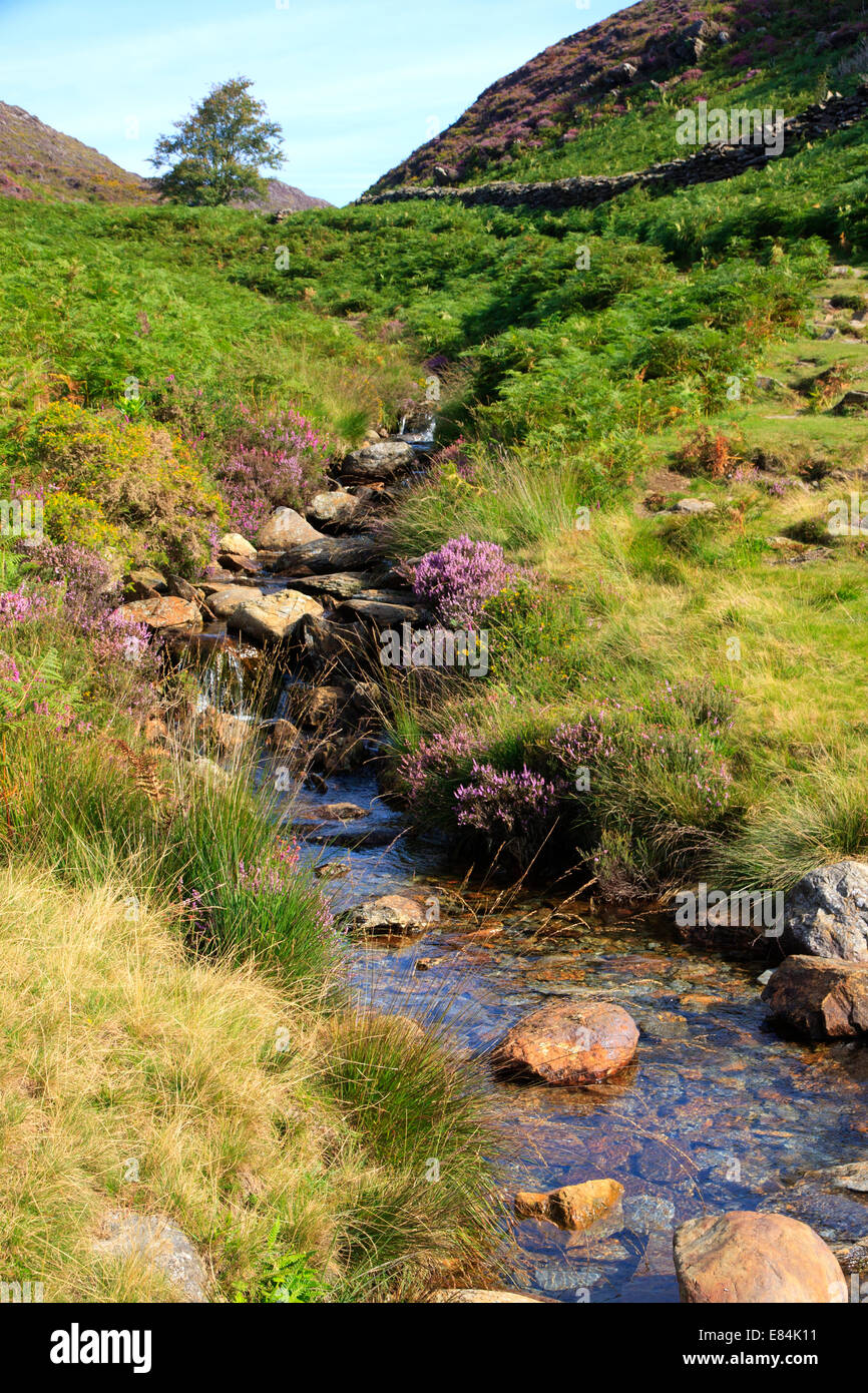 Stream on Cwm Bachan Snowdonia Wales UK Stock Photo - Alamy