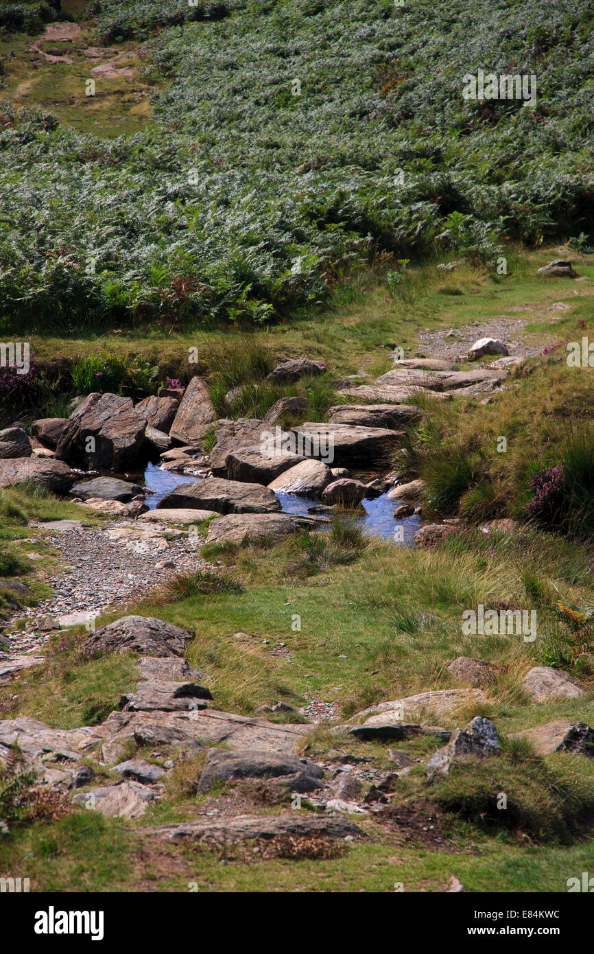 Cwm Bachan Snowdonia Wales stream Stock Photo - Alamy