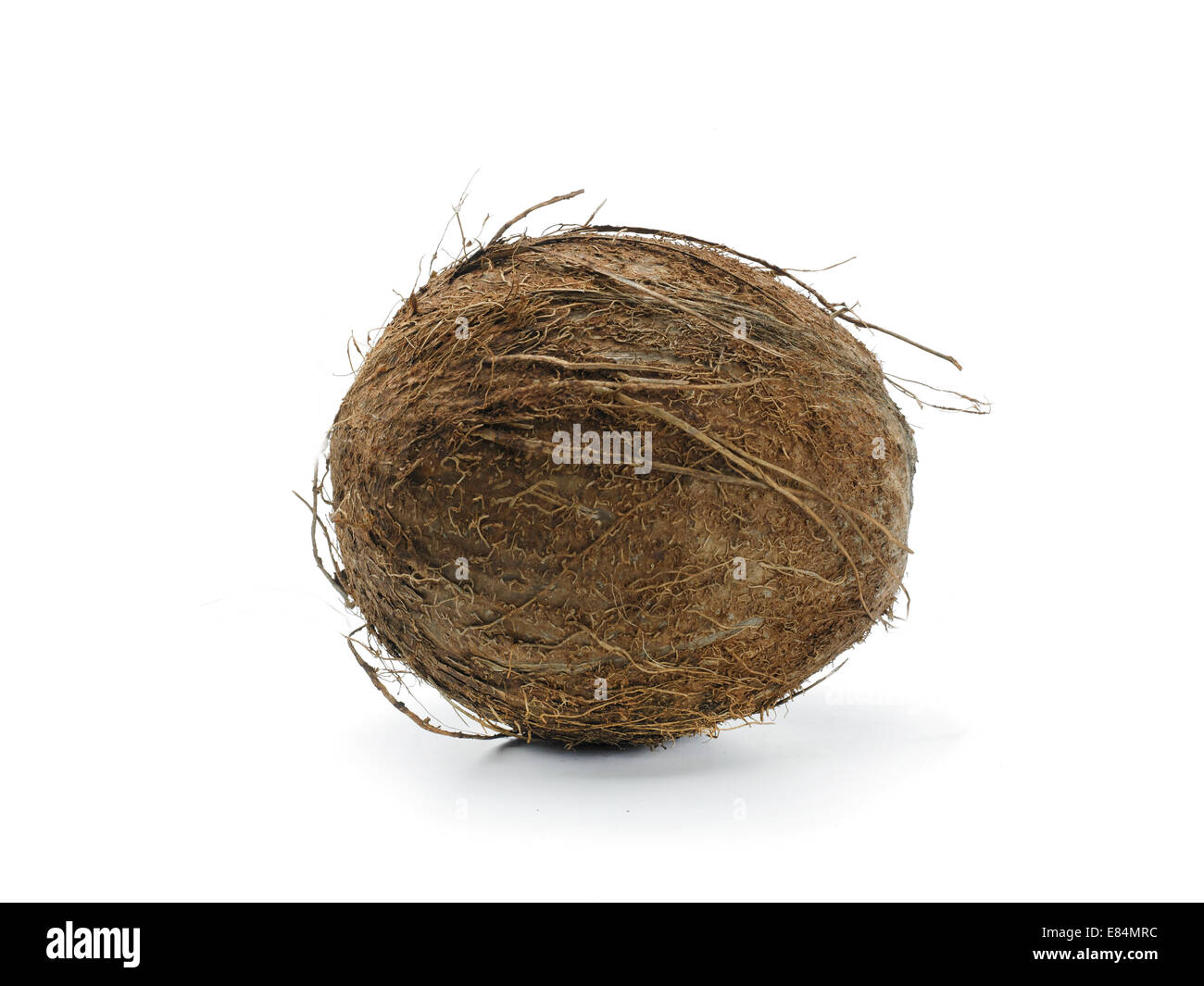 an unopened coconut on a white background Stock Photo - Alamy
