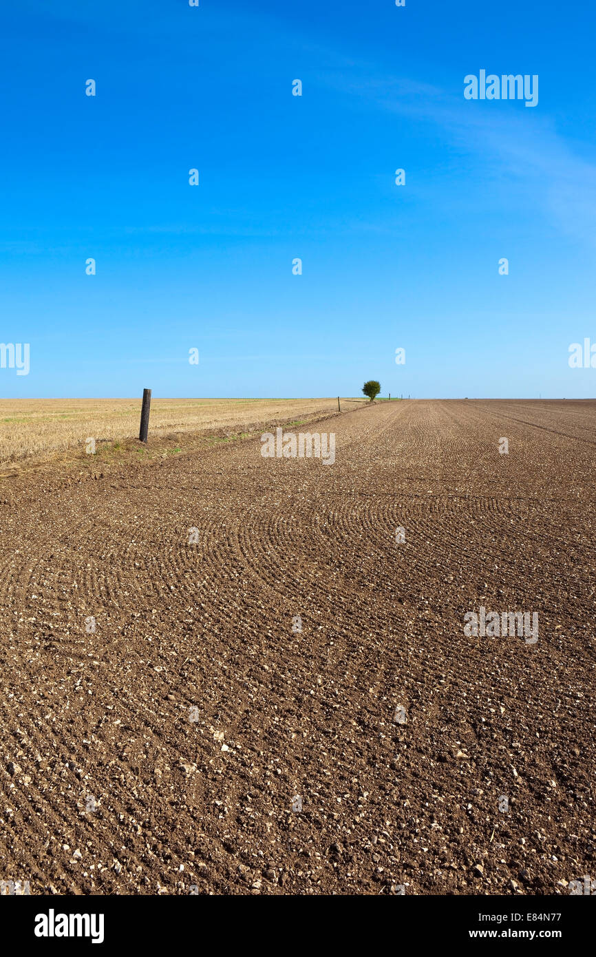 Pattern and texture of cultivated and sown arable field soil under a ...