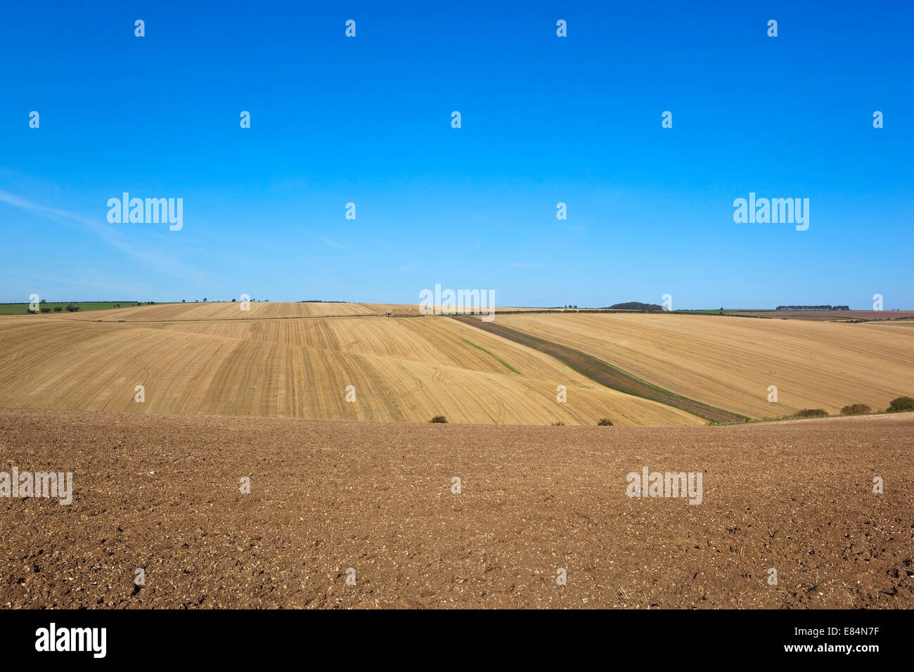 Patterns and texture of harvested fields and cultivated soil at Burdale ...
