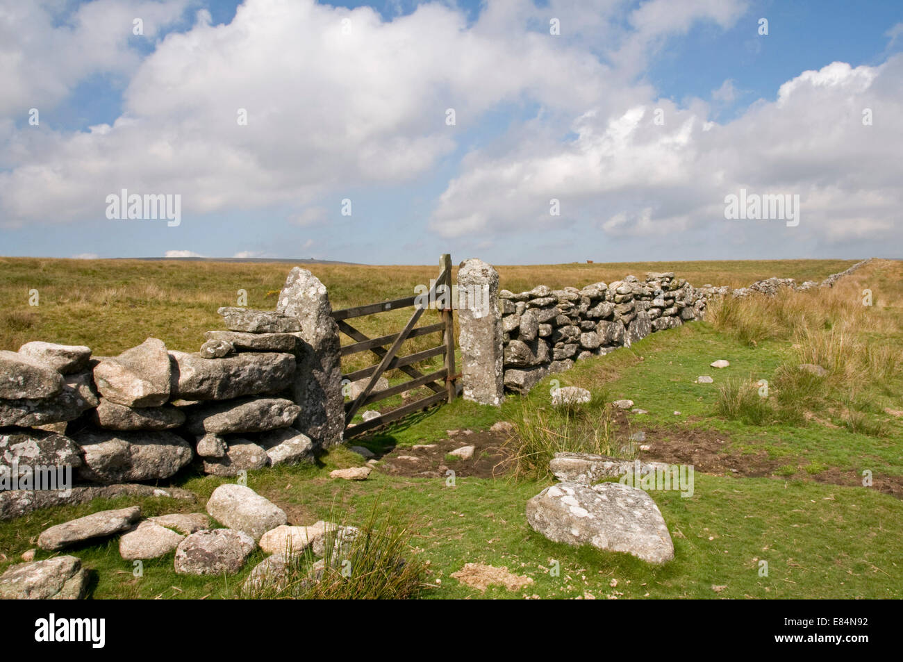 Old dry stone wall and gate near Stonetor Hill on Dartmoor, a couple of ...