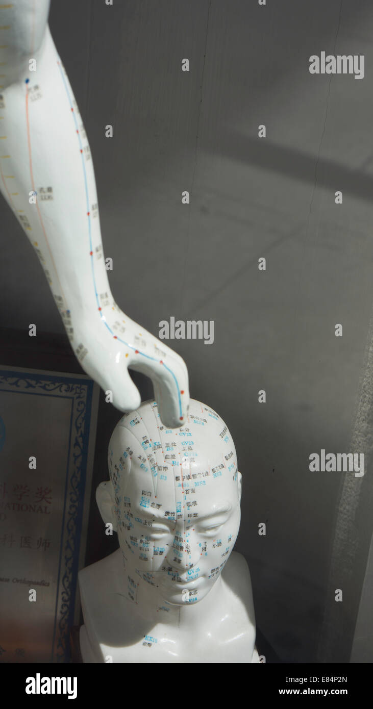 Acupuncture points hi-res stock photography and images - Alamy