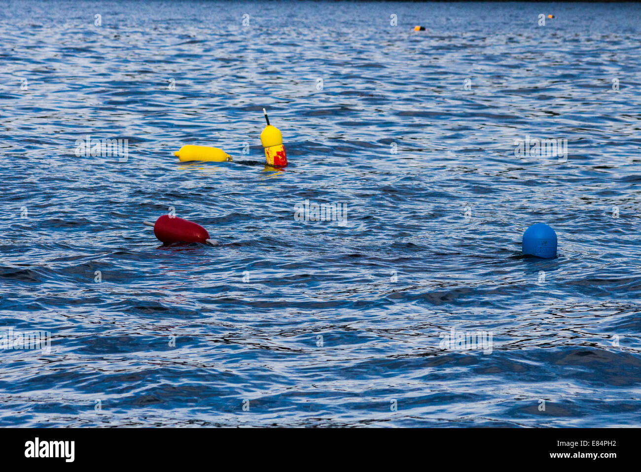Buoy floating in water hi-res stock photography and images - Alamy