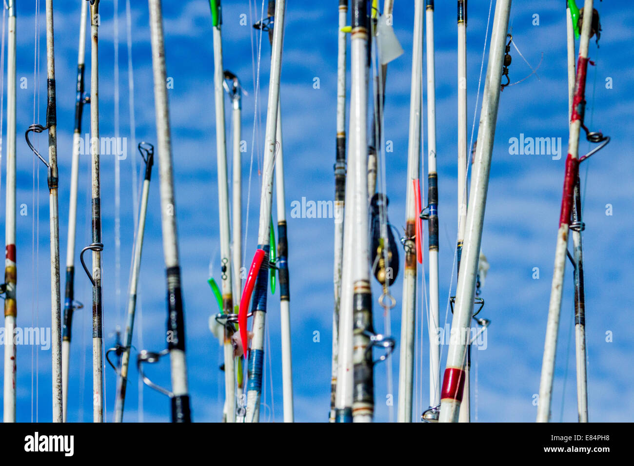 Images taken of fishing rods and reels ready to be used Stock Photo - Alamy