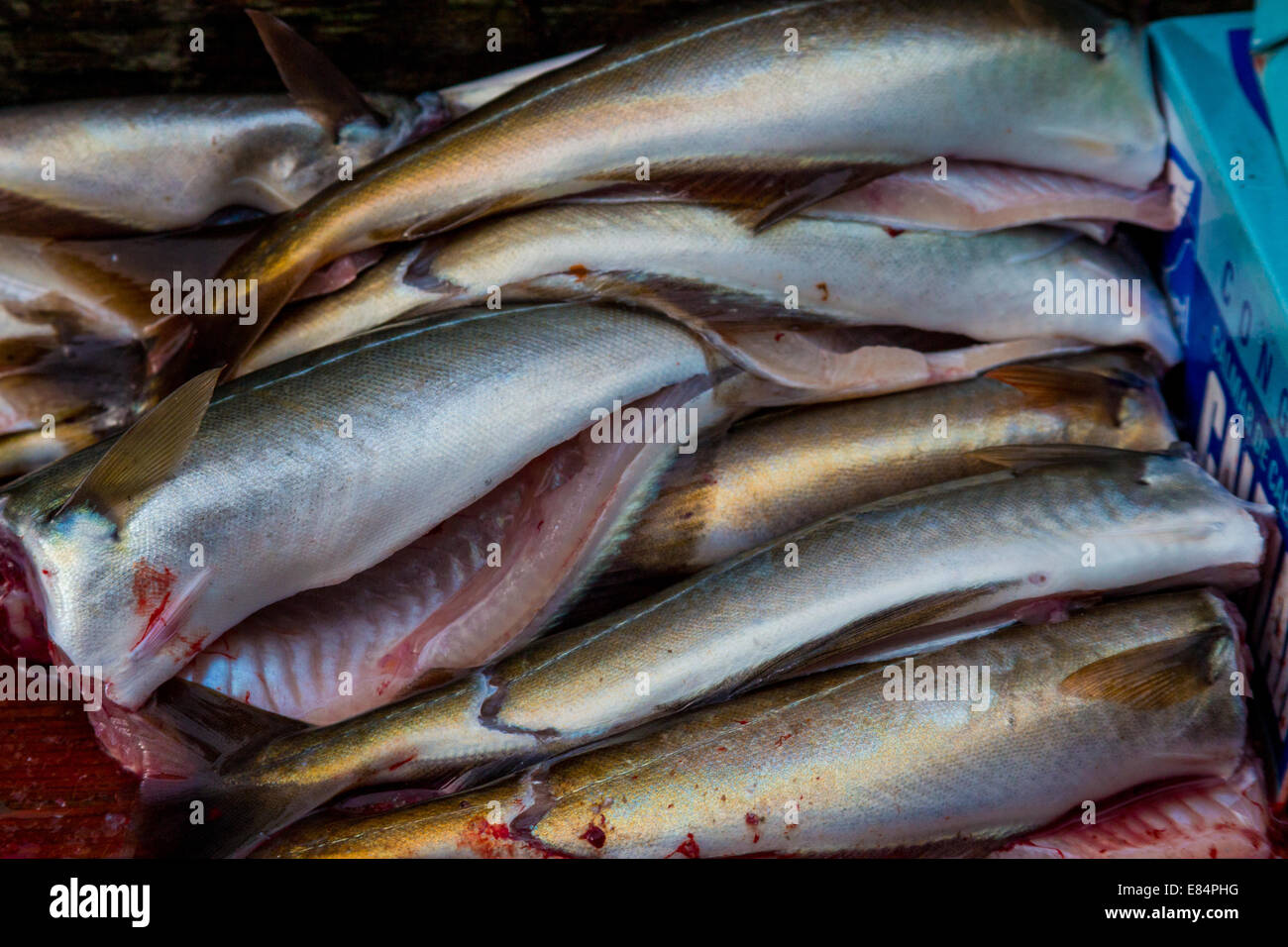 fish being cut up Stock Photo - Alamy