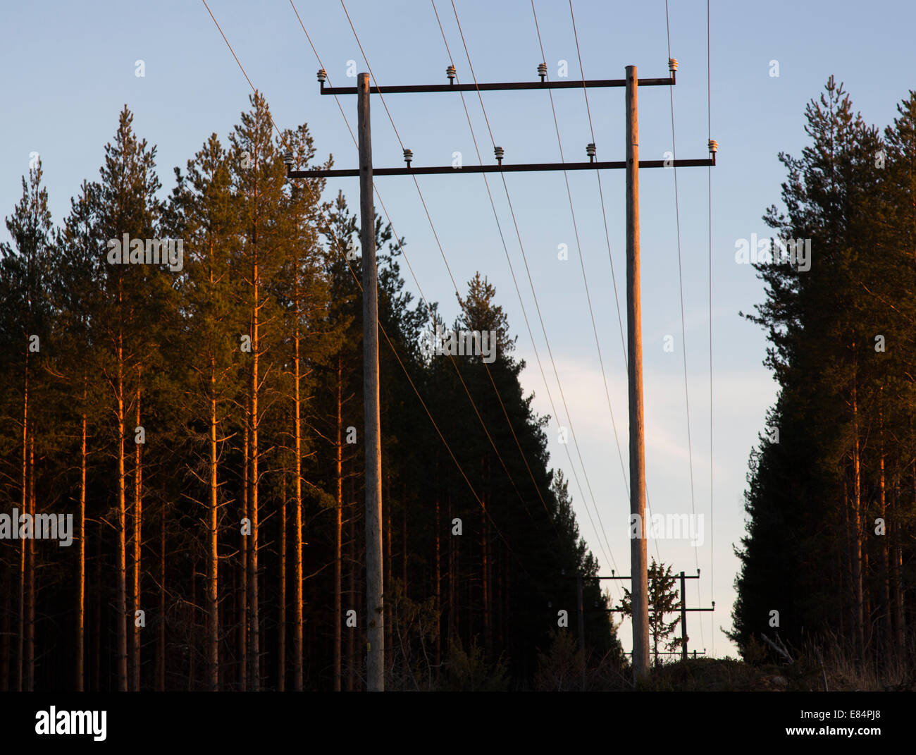 High voltage power line going through forest , Finland Stock Photo - Alamy