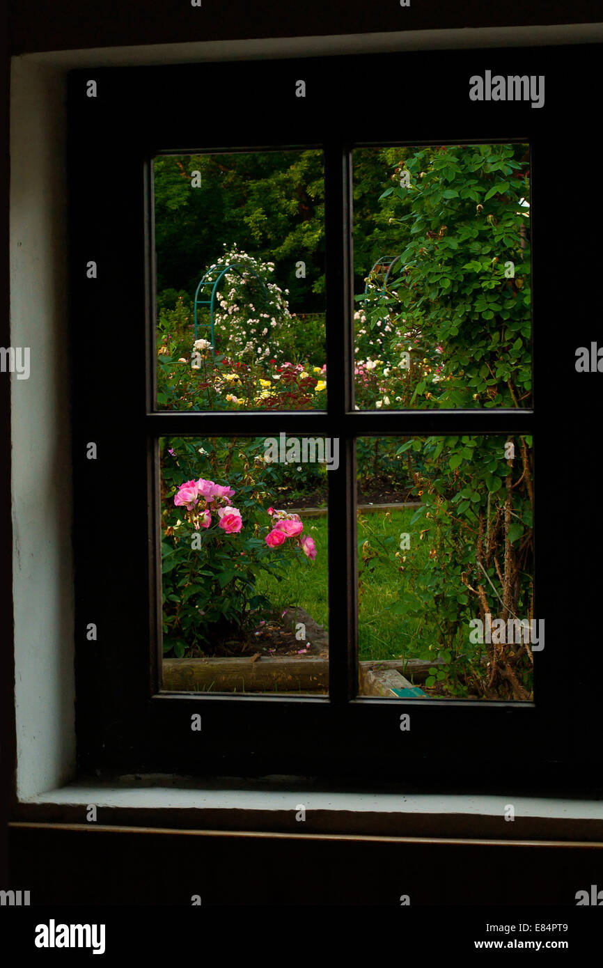 Window looking out onto garden hi-res stock photography and images - Alamy