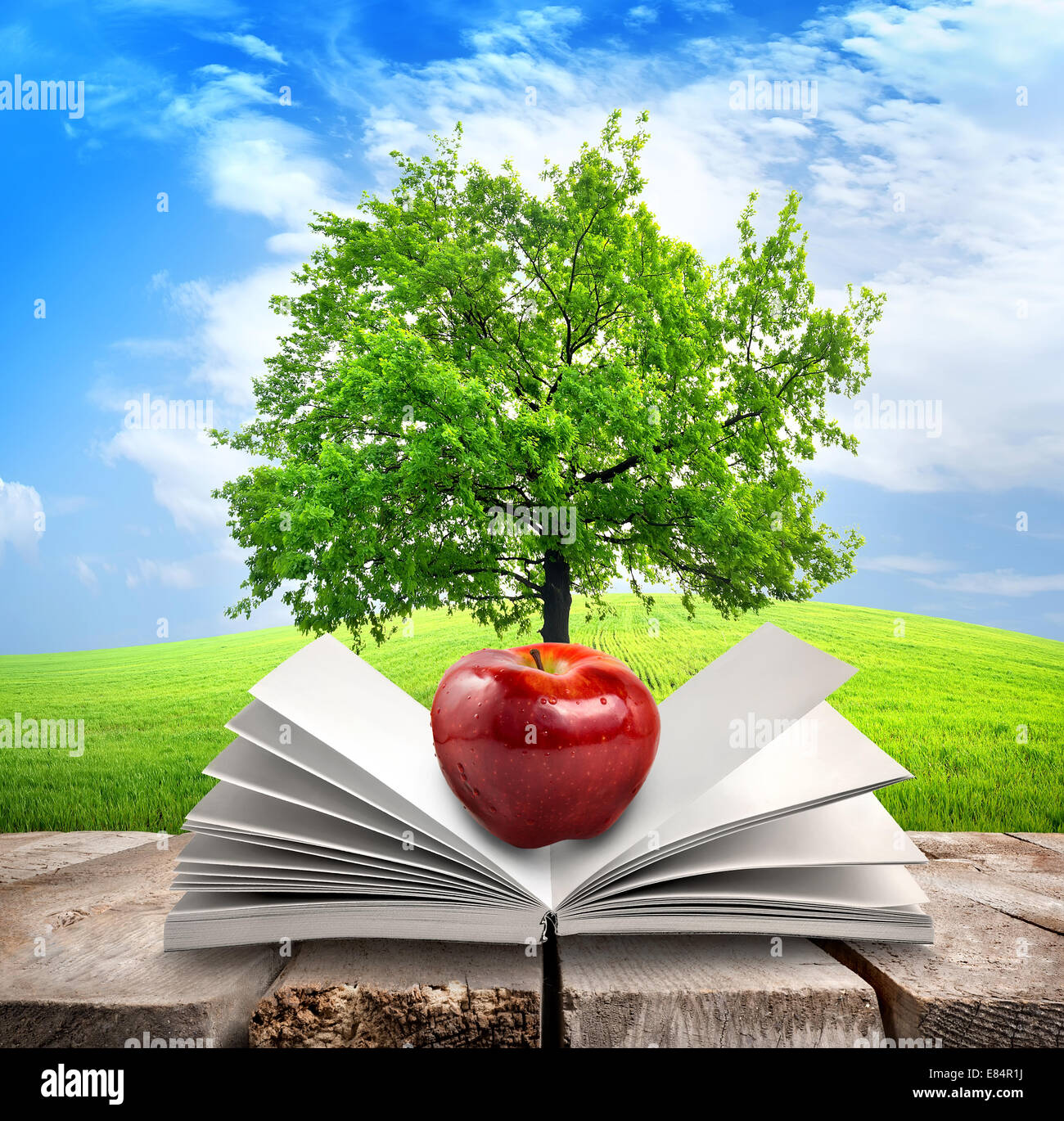 Apple on table hi-res stock photography and images - Alamy