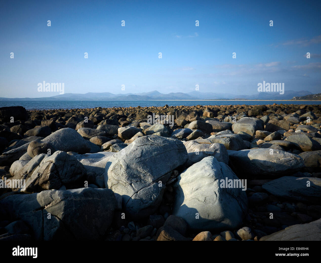 Blue cardigan hi-res stock photography and images - Alamy