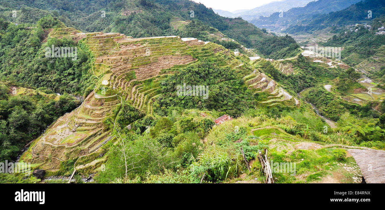 Banaue rice terraces philippines hi-res stock photography and images ...