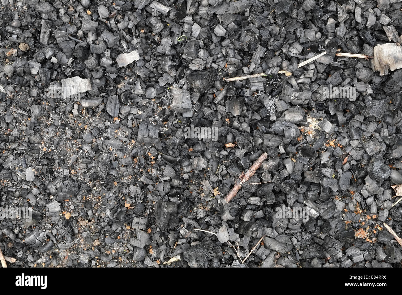 remnants of a fire in the corner of a field after hedges had been cut ...