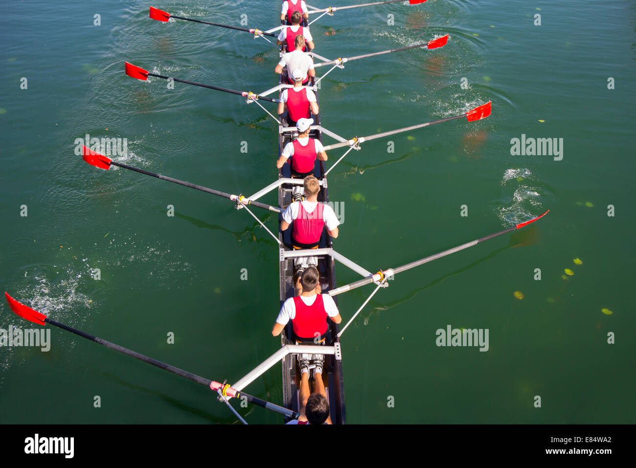 Rowers in eight-oar rowing boats on the tranquil lake Stock Photo - Alamy