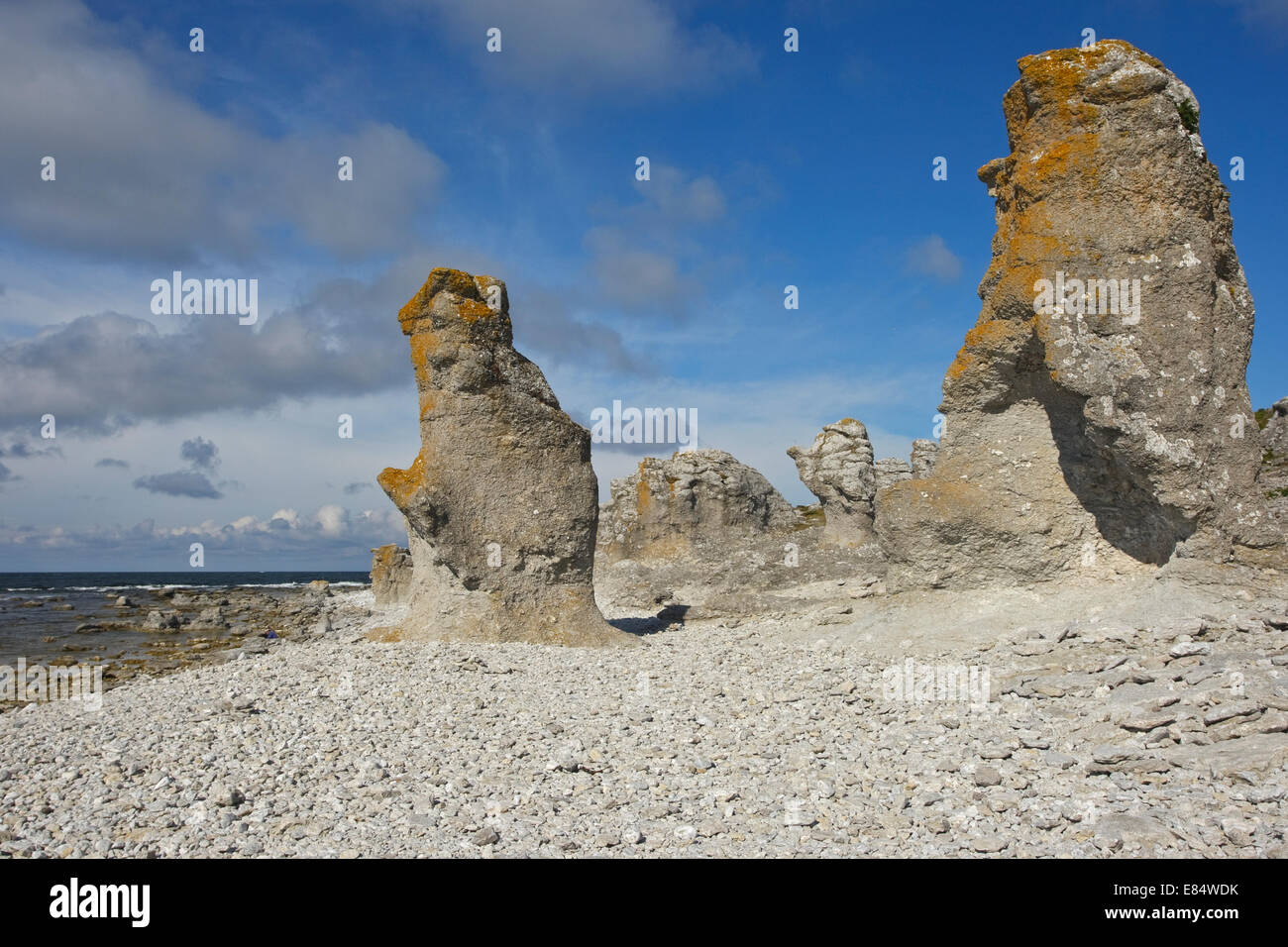 Limestone stacks called Rauks at Langhammershammer Faroe, Gotland ...