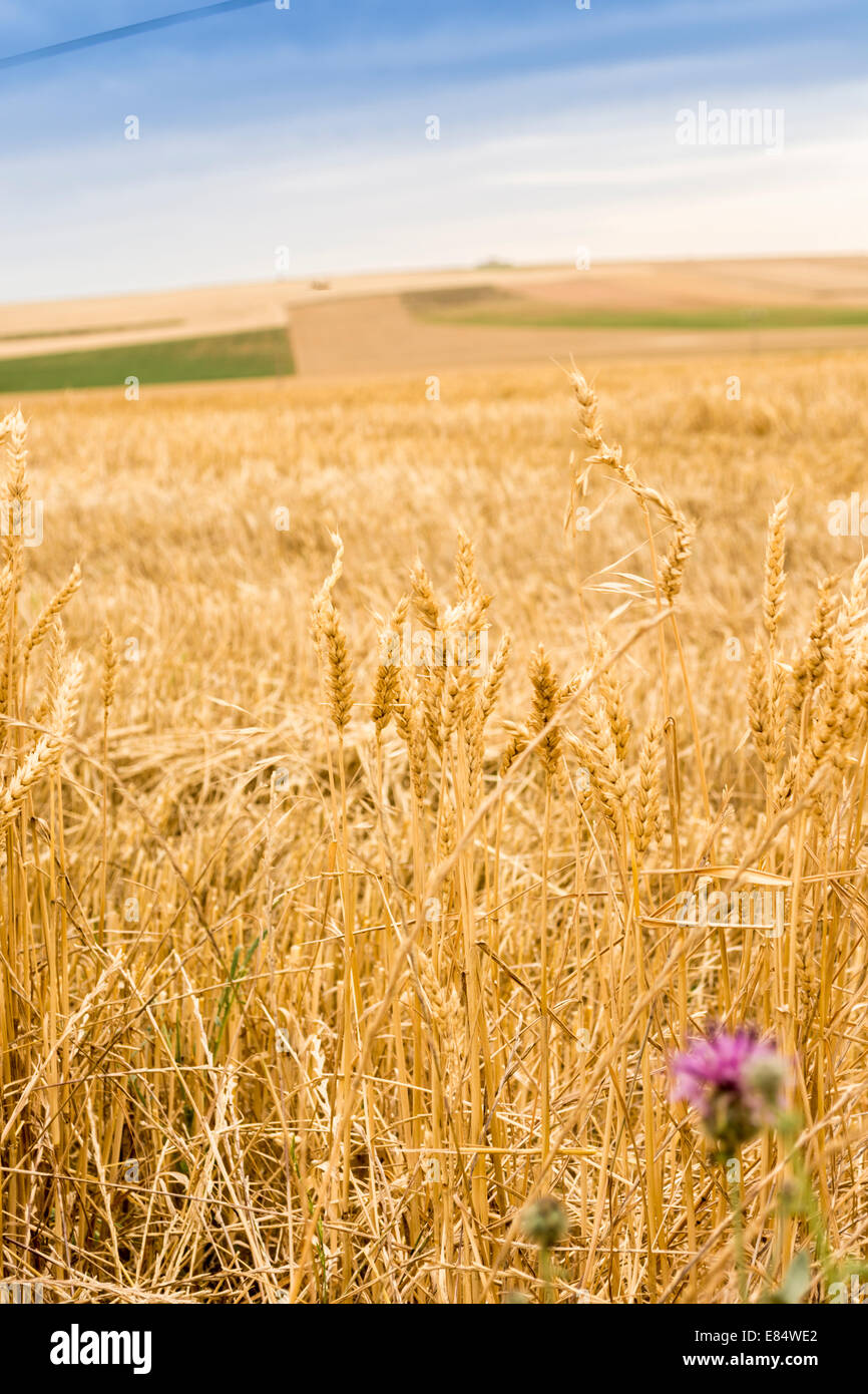 Castilian landscape hi-res stock photography and images - Alamy