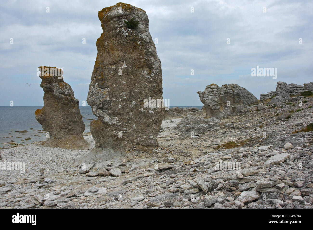 Limestone stacks called Rauks at Langhammershammer Faroe, Gotland ...
