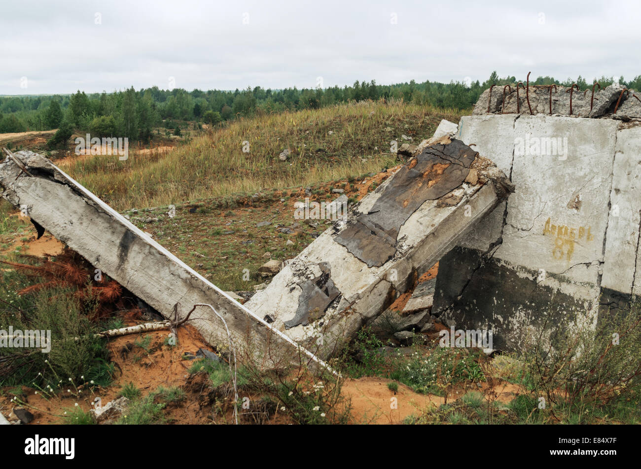 The destroyed military bunker and the young wood on the former military ...