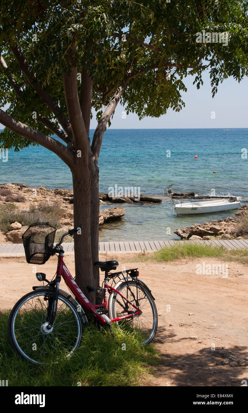 Bike leaning against tree Protaras Cyprus Stock Photo - Alamy