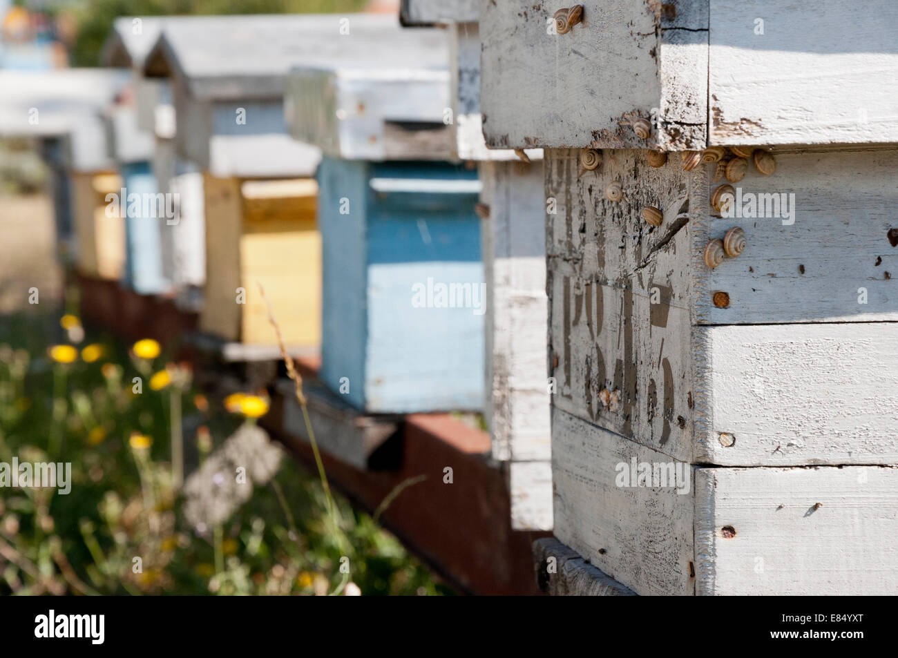 Empty beehives hi-res stock photography and images - Alamy