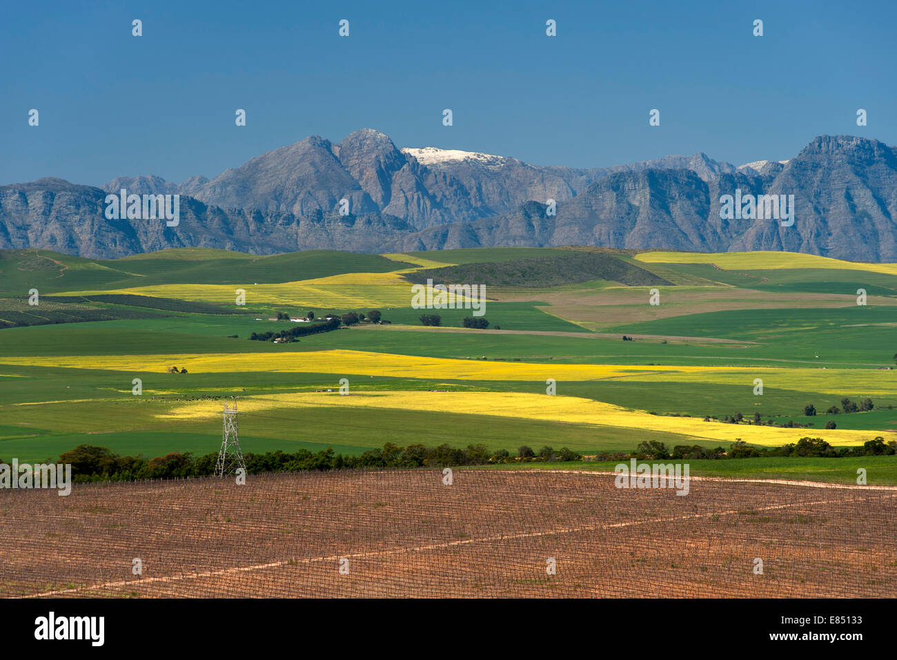 South africa boland hi-res stock photography and images - Alamy