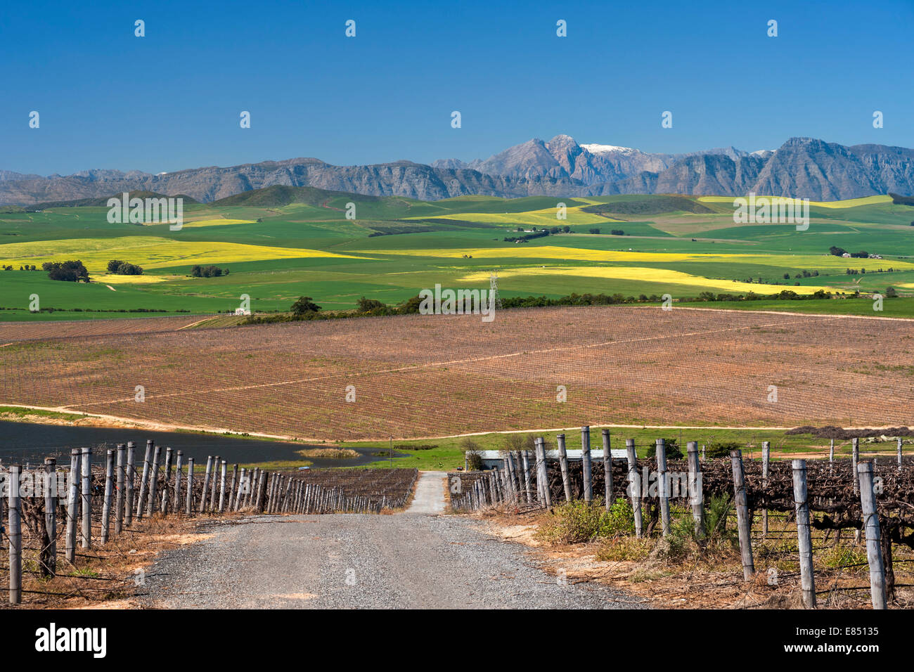 View across farmlands of the Boland mountains in South Africa's Western ...