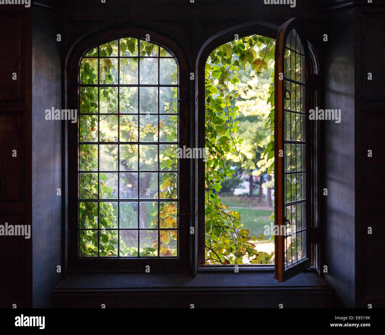 Light spills through a half-open window at a university building in ...