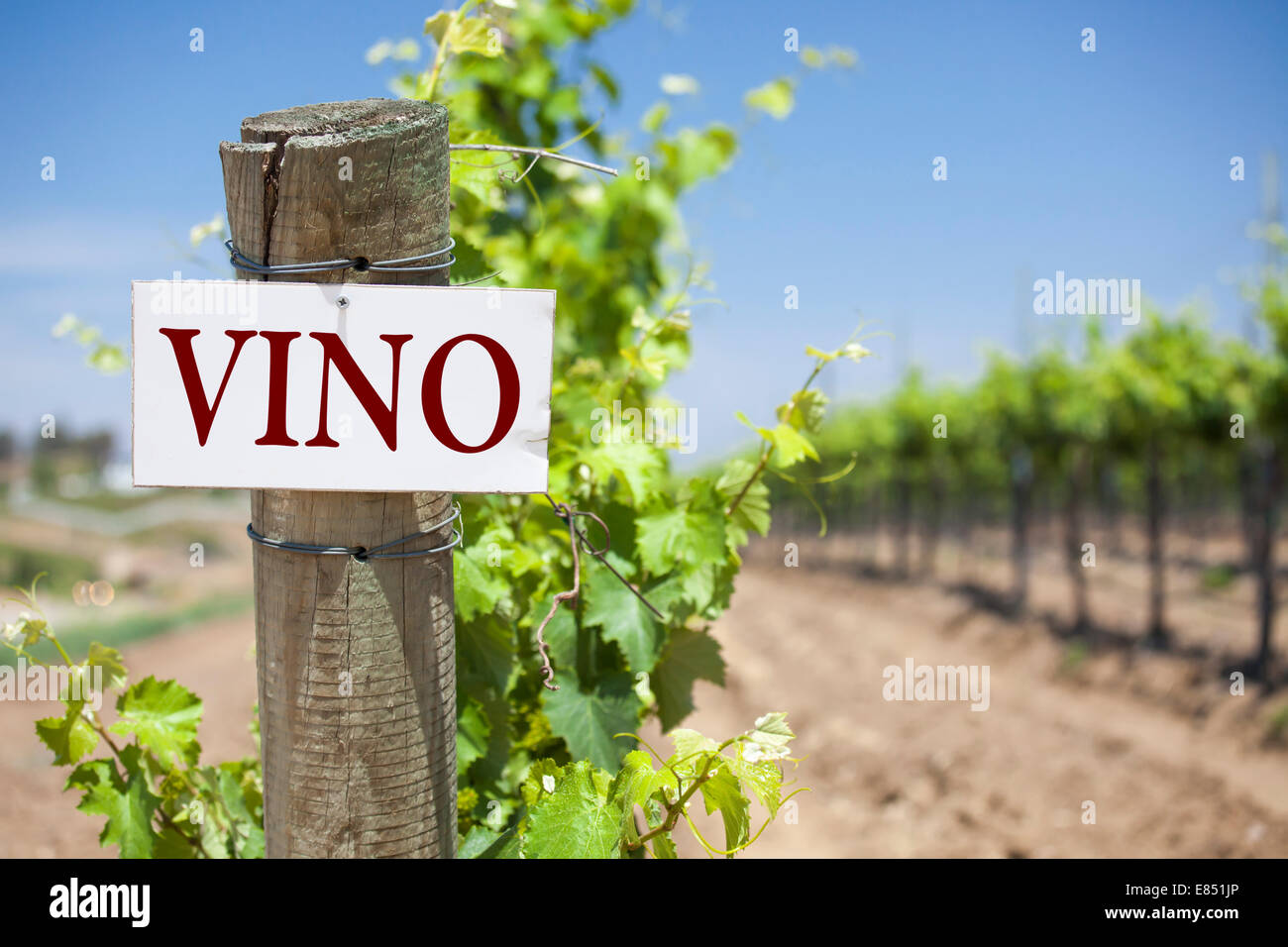 Grape tree sign hi-res stock photography and images - Alamy