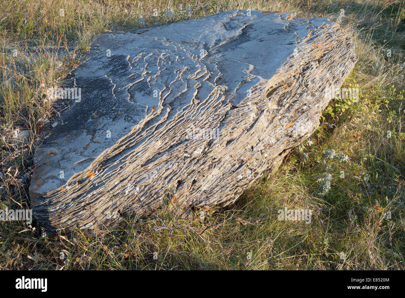 Porcupine Hills Geological Formation High Resolution Stock Photography ...