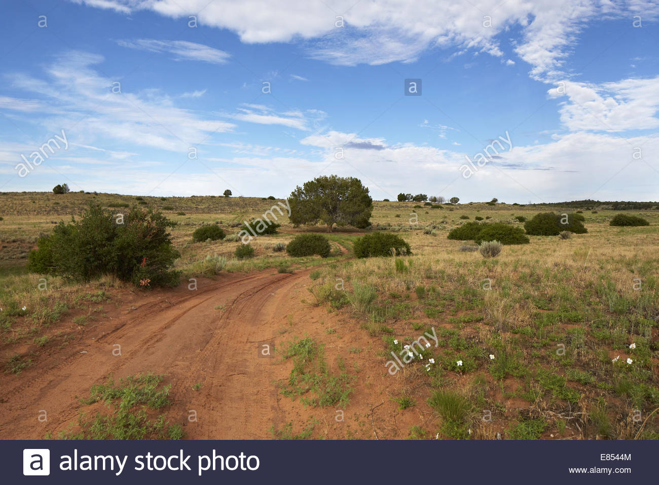 Desert Road Stock Photos & Desert Road Stock Images - Alamy