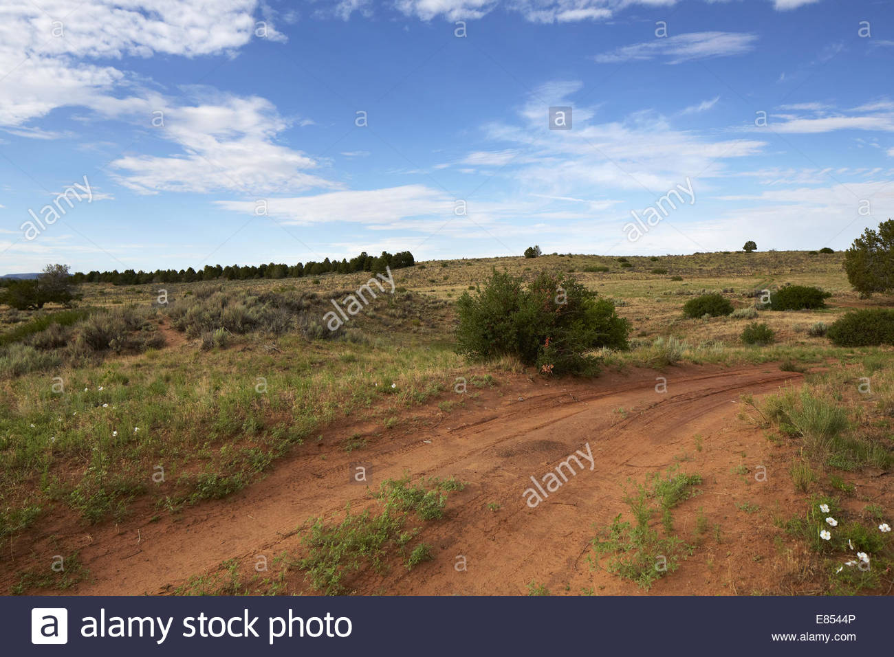 Rough Stock Photos & Rough Stock Images - Alamy