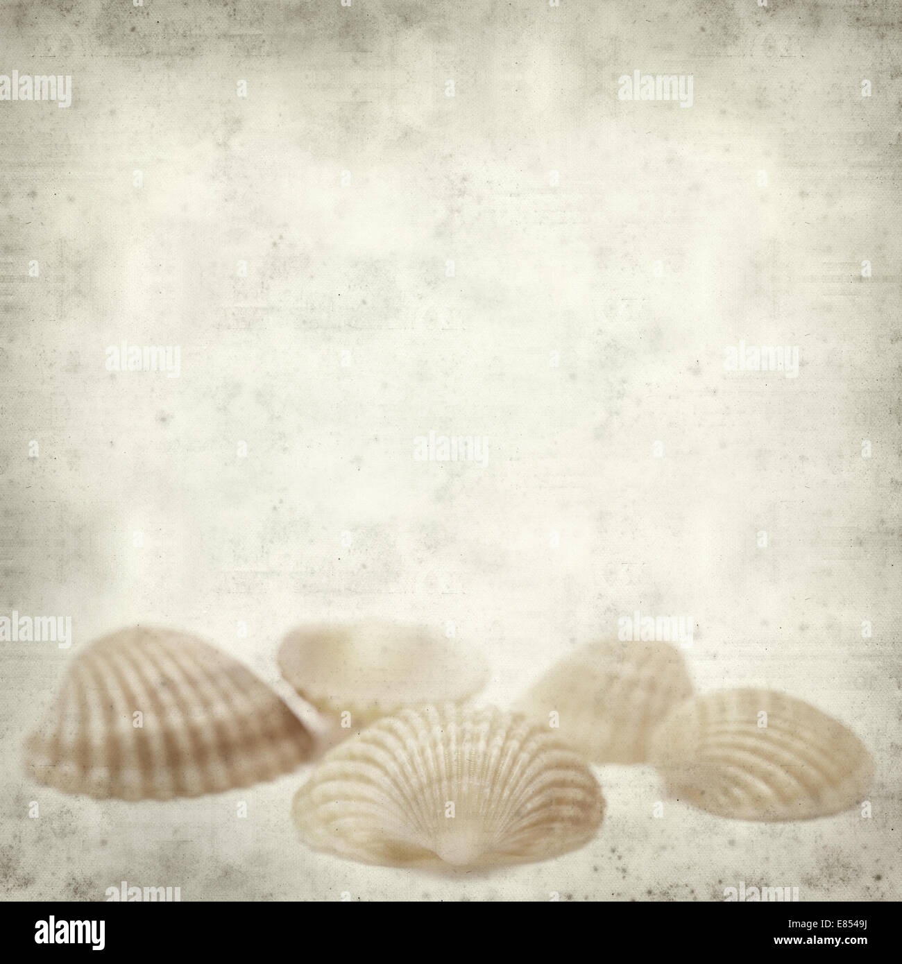 textured old paper background with cockle shells Stock Photo - Alamy