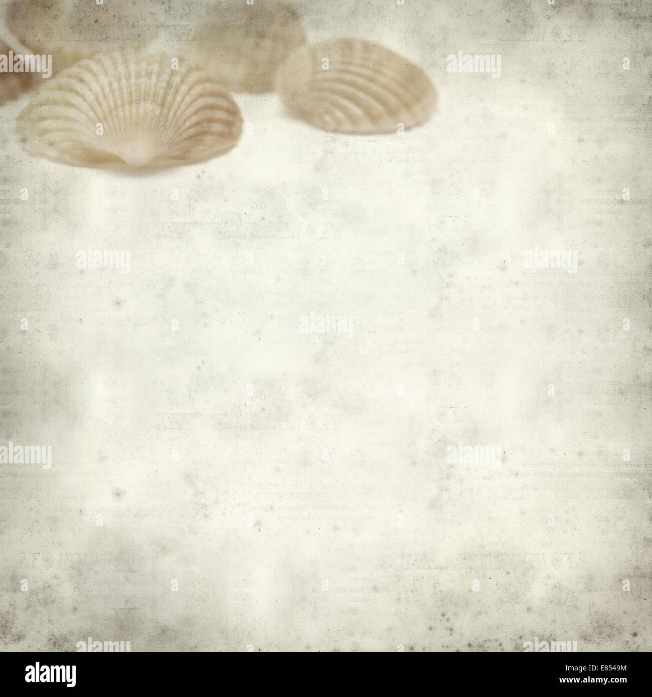 textured old paper background with cockle shells Stock Photo - Alamy