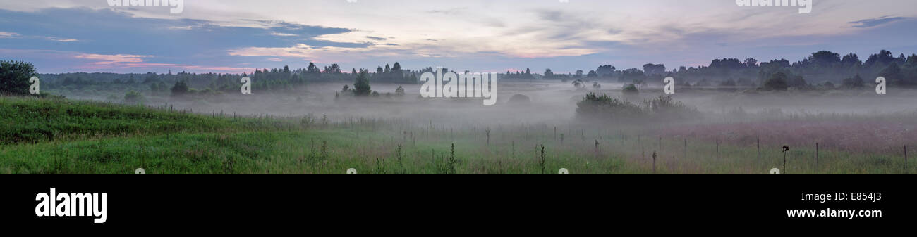 Evening fog panorama Stock Photo - Alamy