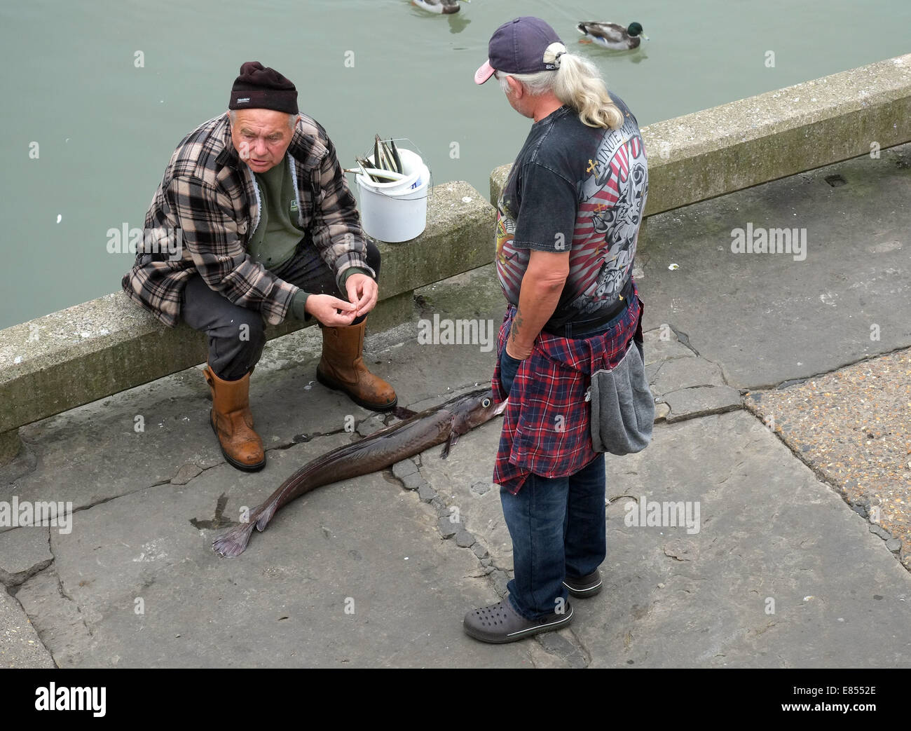 Two men with large fish Stock Photo - Alamy