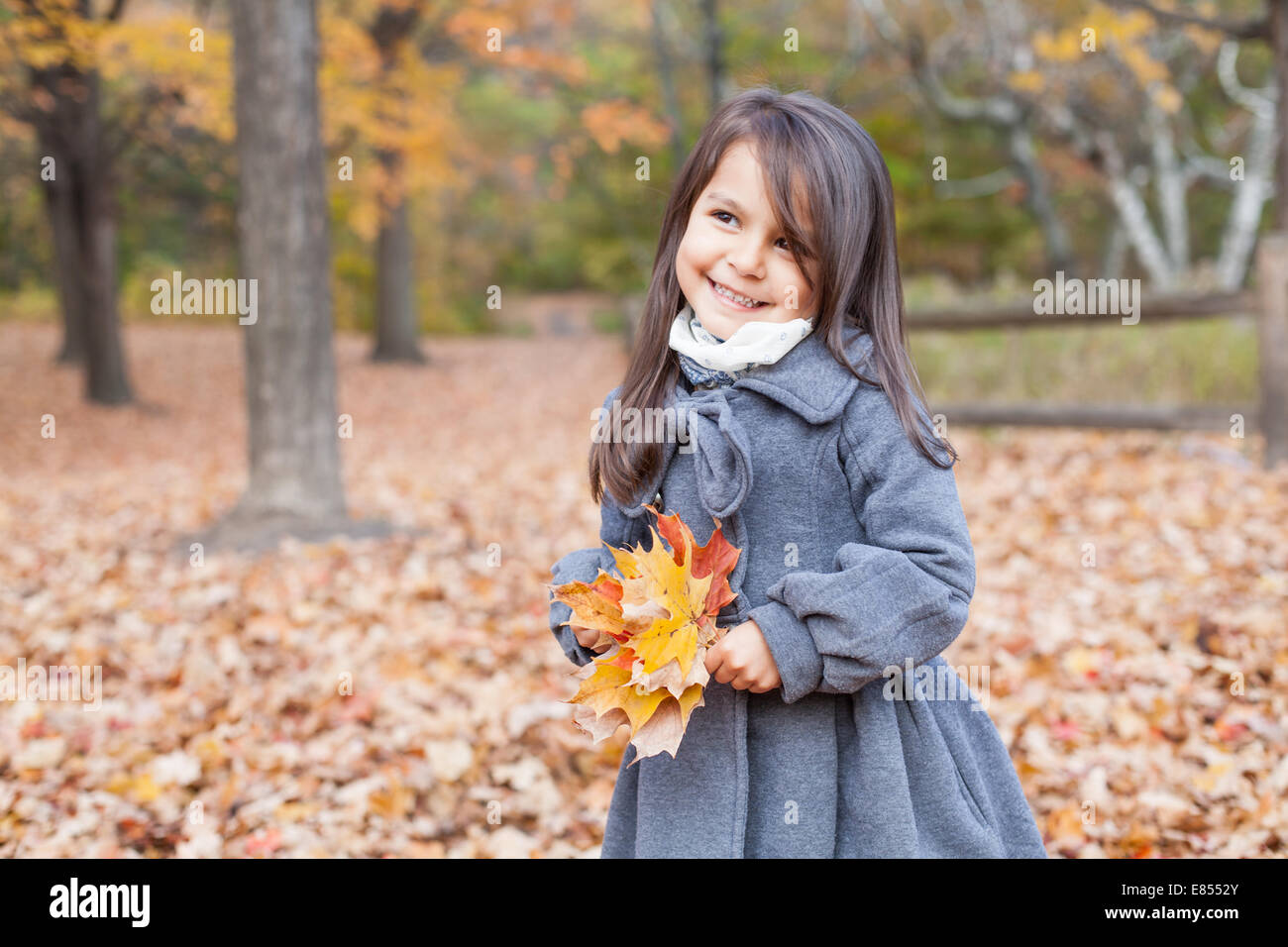 Little girl with autumn leaves in an autumn park Stock Photo - Alamy