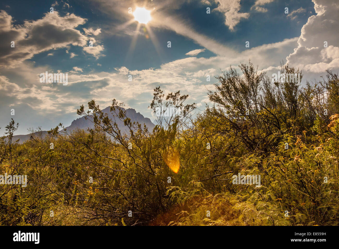 Starburst and light after storm at Dugout Wells in Big Bend National ...