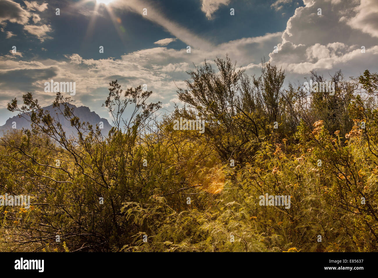 Light Wells High Resolution Stock Photography and Images - Alamy