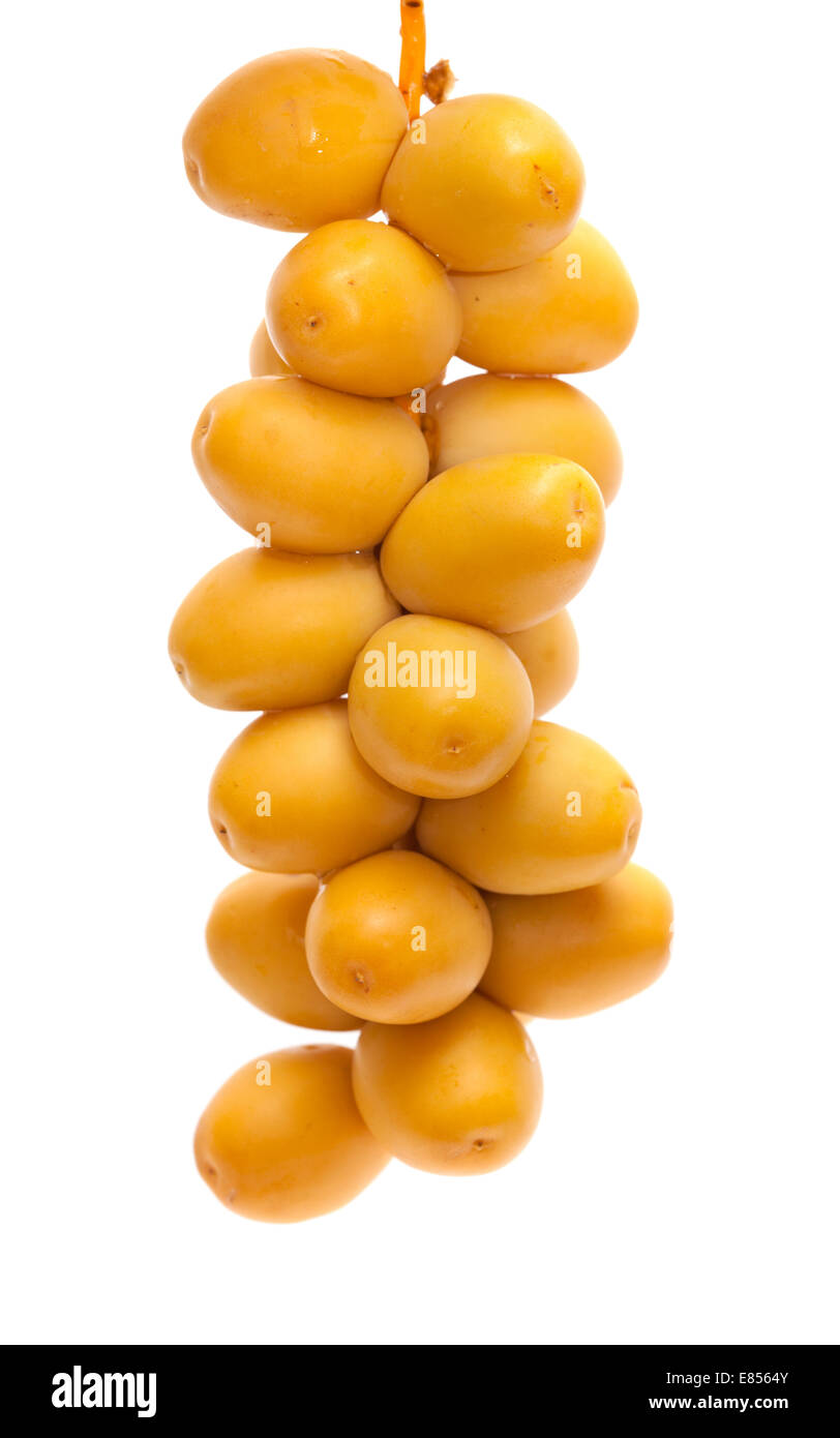 fresh undried date fruit isolated on white Stock Photo - Alamy