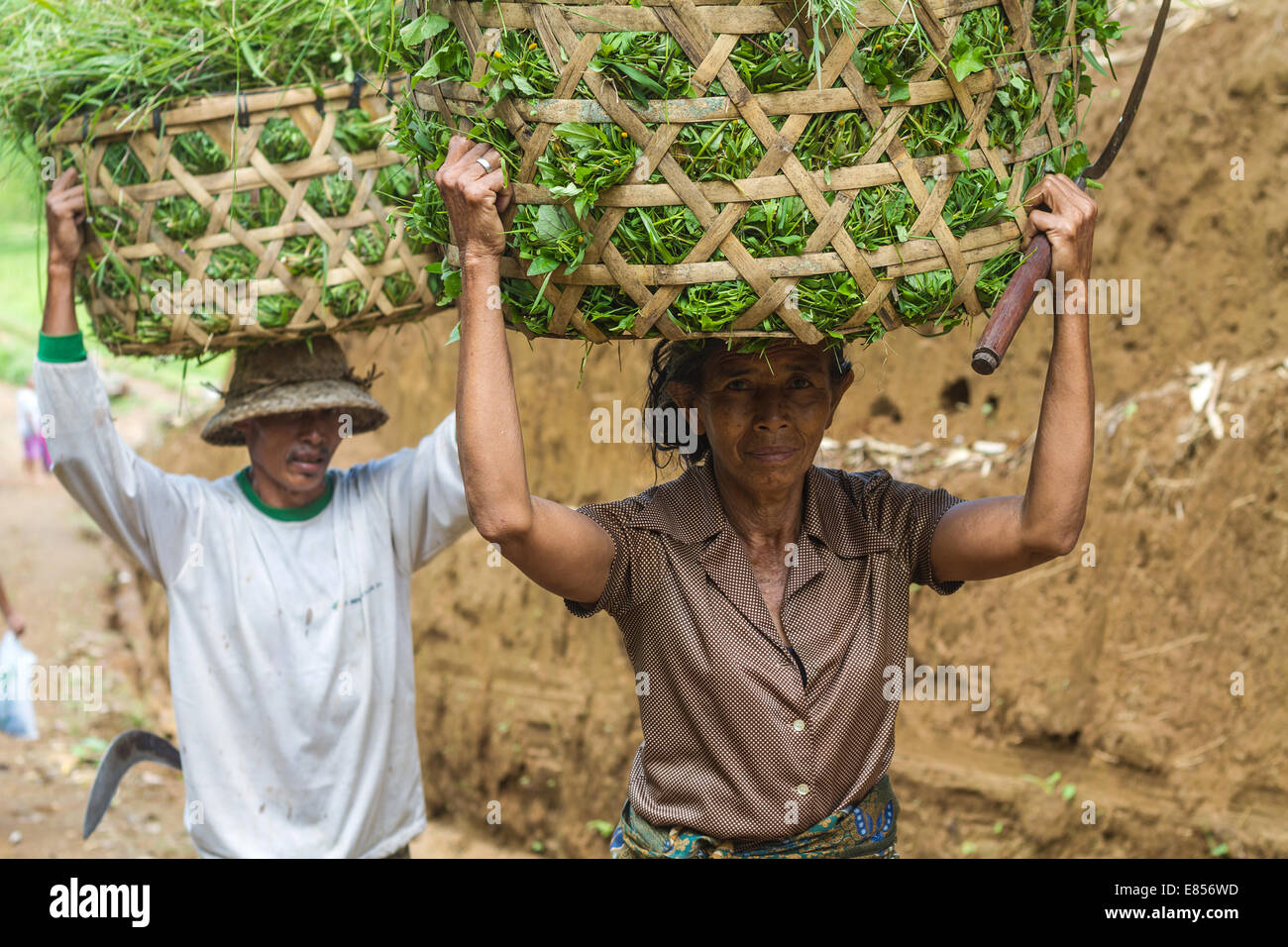 Indonesian worker hi-res stock photography and images - Alamy