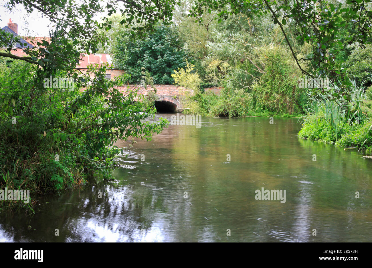 A view of the River Bure downstream of the disused mill at Blickling ...