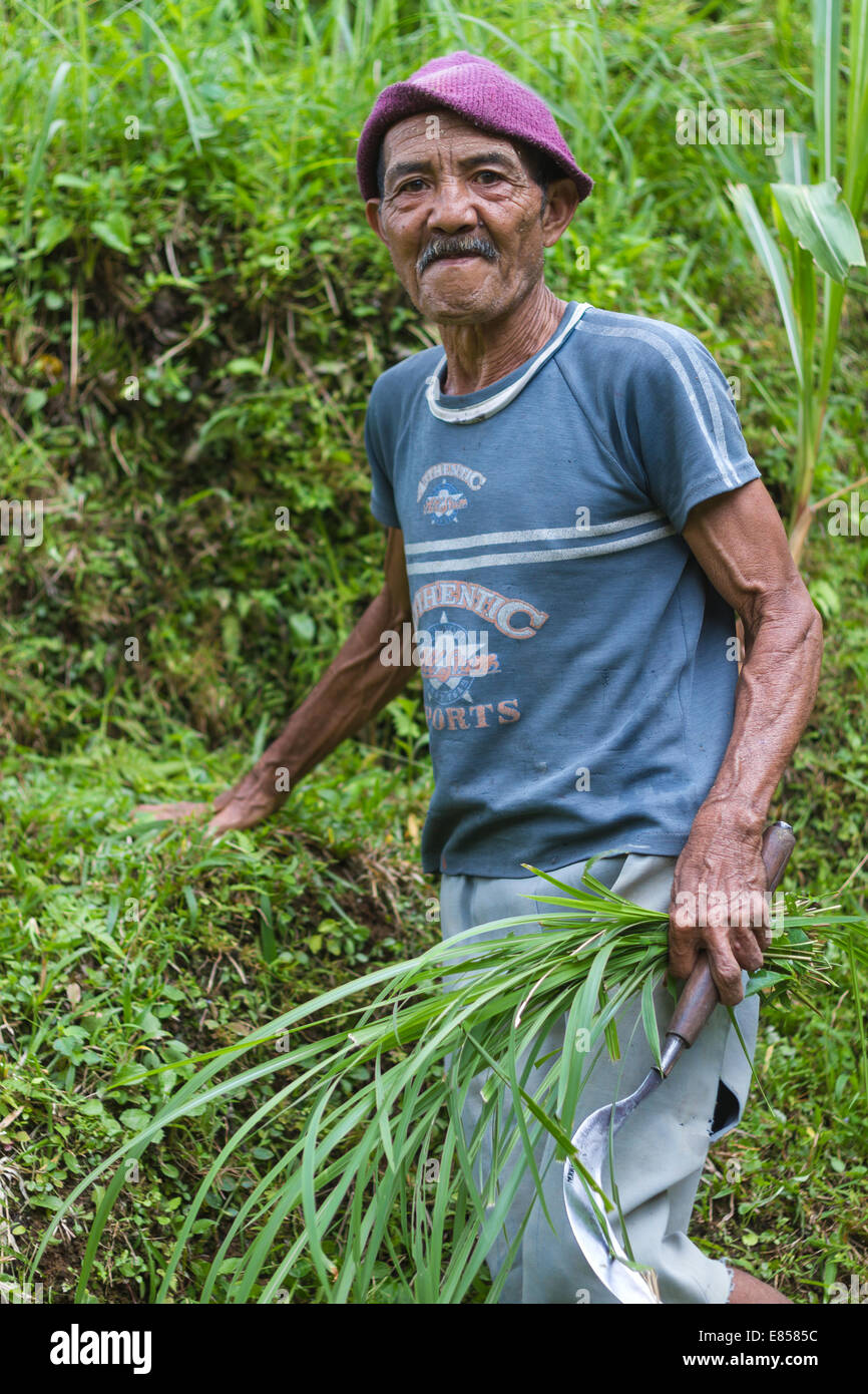 Indonesian worker hi-res stock photography and images - Alamy