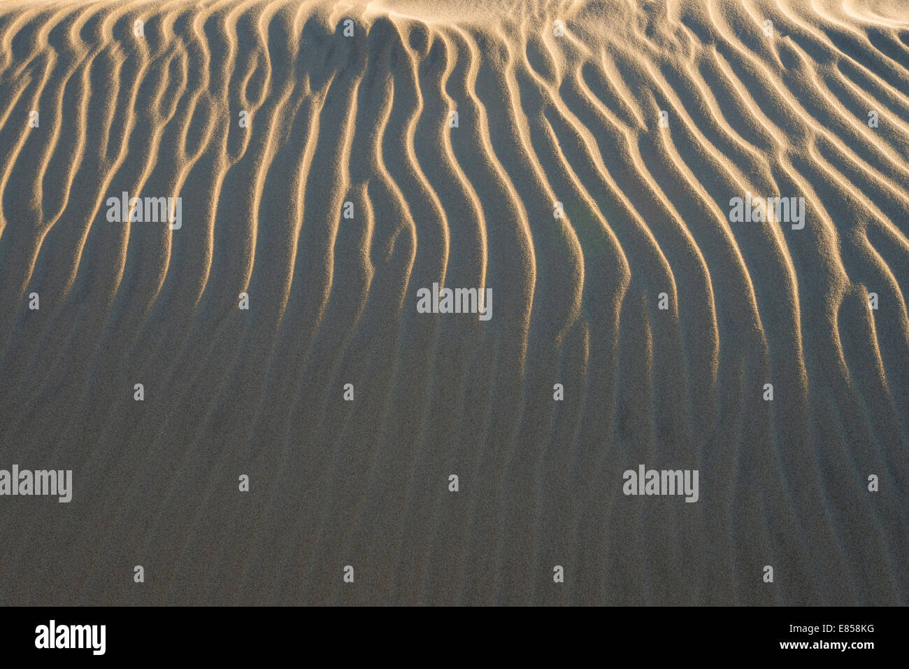 Wind ripples hi-res stock photography and images - Alamy
