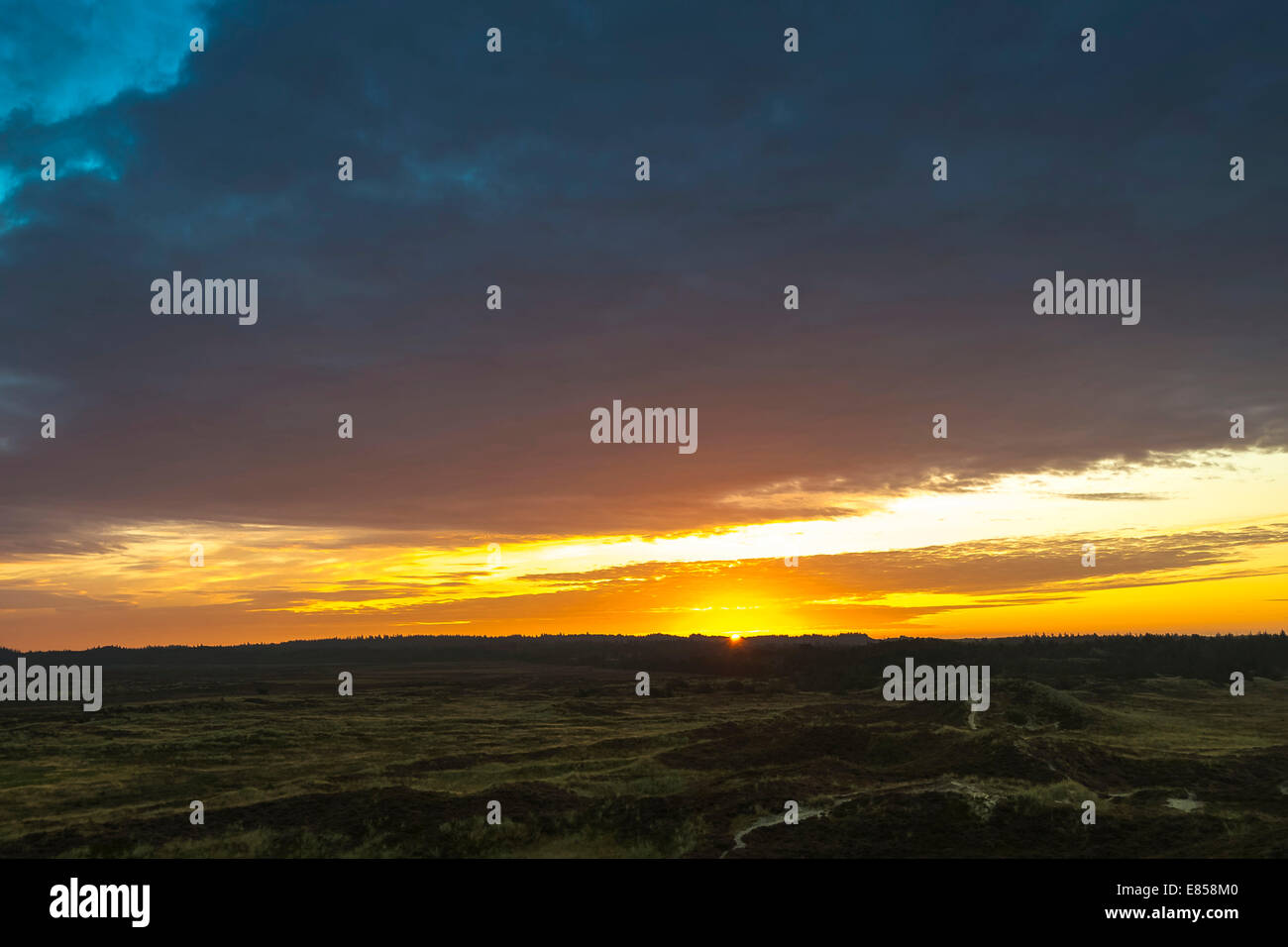 Sunrise over dunes and heathland, Henne, Region of Southern Denmark ...