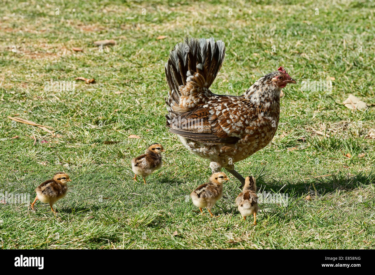Young united states hi-res stock photography and images - Alamy