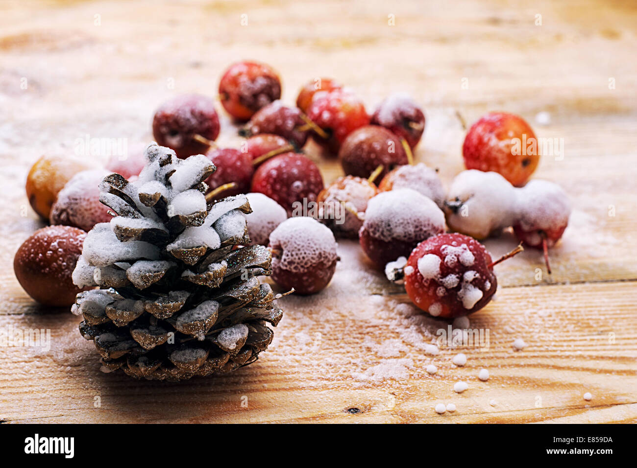 snow-covered fruits of dwarf apples and Christmas decorations Stock ...