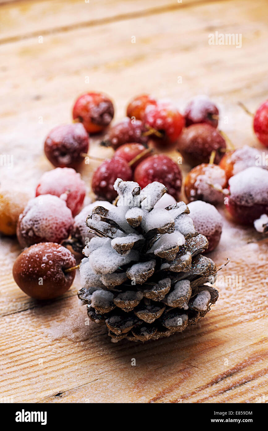 snow-covered fruits of dwarf apples and Christmas decorations Stock ...