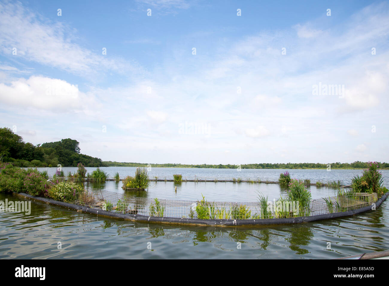 A Trial ‘Concept’ Tern Raft Installed ‘free of charge’ on Ranworth ...