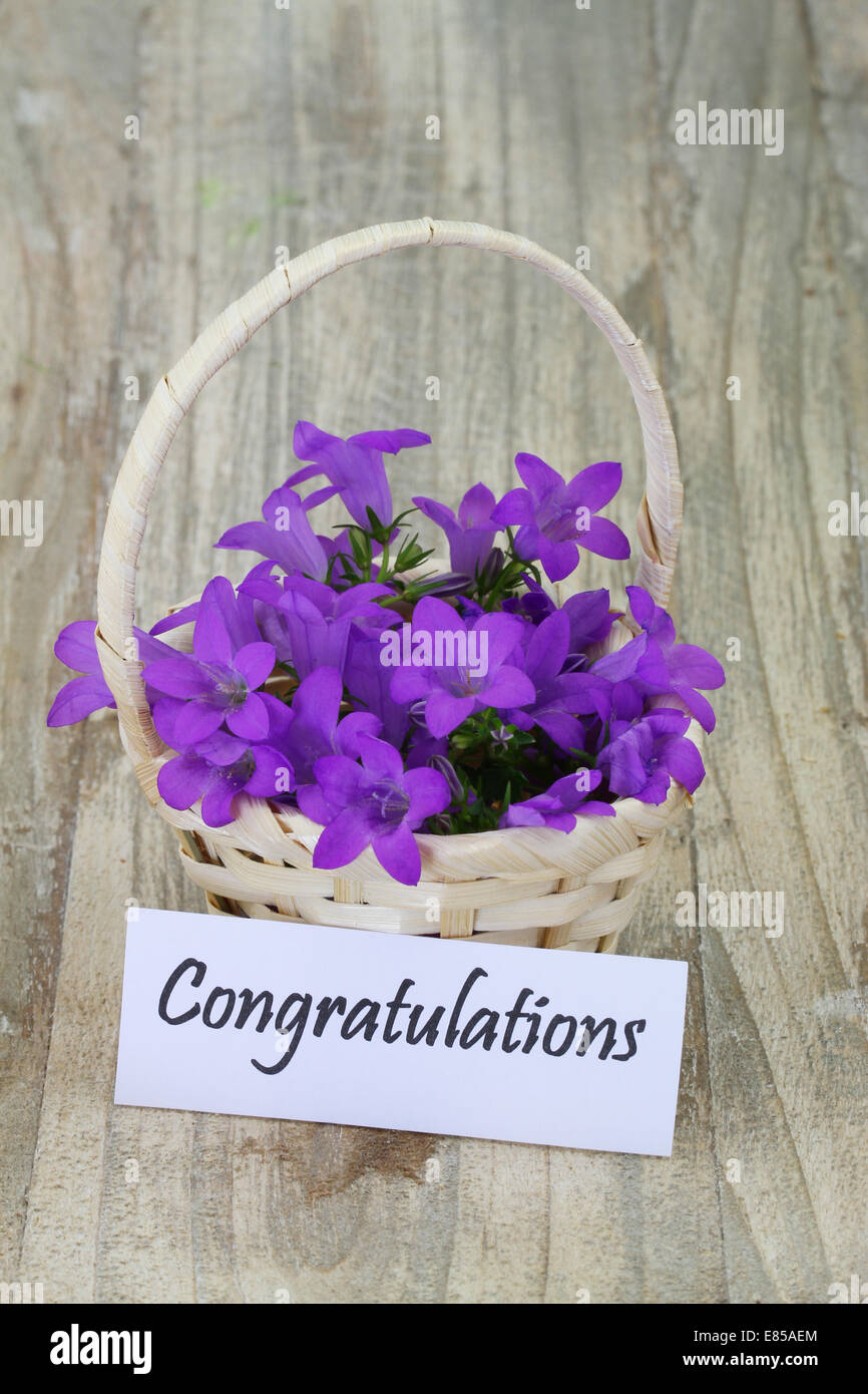 Congratulations card with campanula flower basket Stock Photo - Alamy