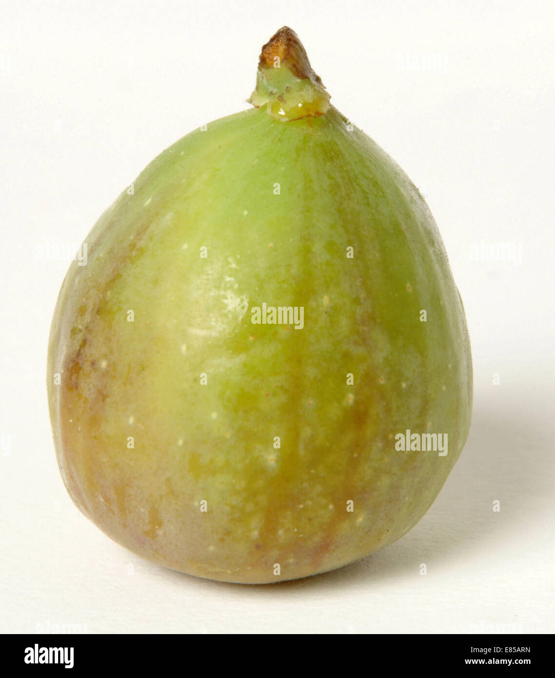 Fig plant fruits Cut Out Stock Images & Pictures - Alamy